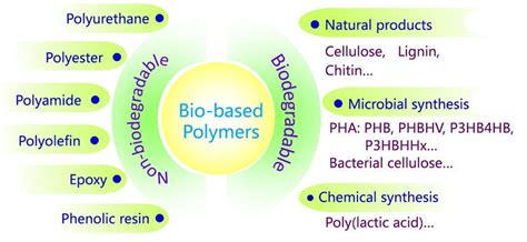 Bio Based Polymers Market Is Booming So Rapidly During Assessment