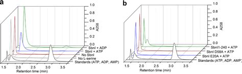Hplc Analysis Of The Nucleotide Reaction Products Hplc Trace Of Atp Download Scientific