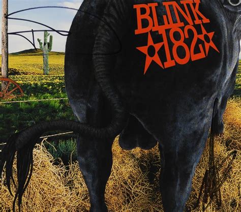 Blink Dude Ranch