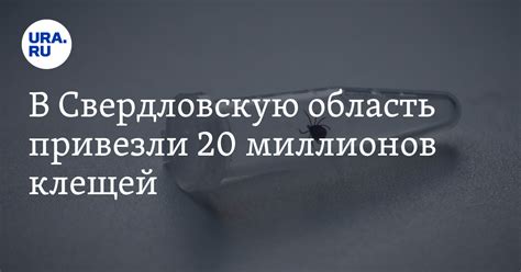 Зачем в Свердловскую область привезли 20 миллионов клещей