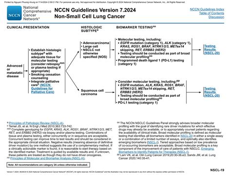 NCCN CLINICAL PRACTICE GUIDELINE IN ONCOLOGY PDF Lung And Respiratory Health Diseases And