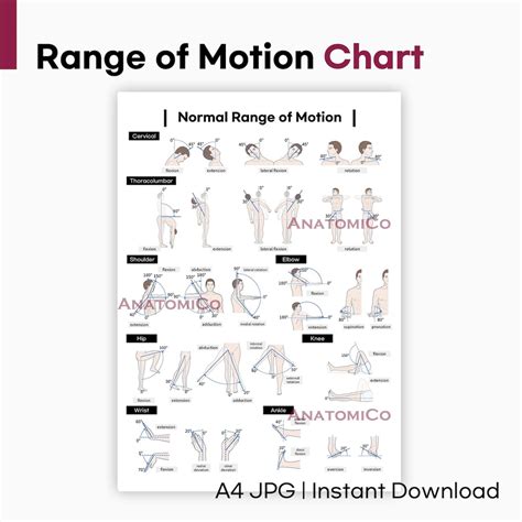Range Of Motion Chart A4  Printable Rom Reference Poster For