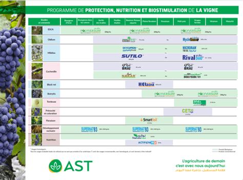 Programme De Traitement Vigne Ast Agro Spray Technic Solutions Phytosanitaires Biologiques