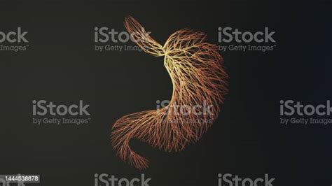 인간의 위장은 선으로 만들어졌습니다 의료 개념입니다 3d 렌더링 건강관리와 의술에 대한 스톡 사진 및 기타 이미지 건강관리와 의술 과학 다중 색상 Istock