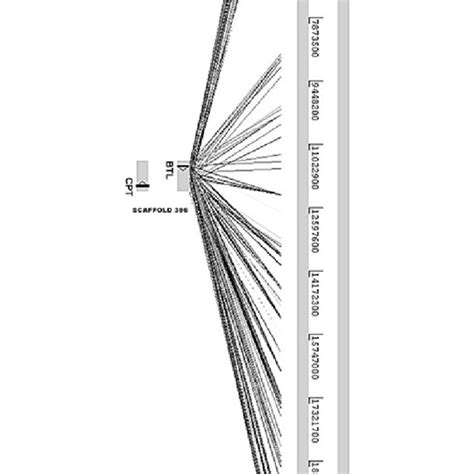 Sequence Alignment Serine Protease Domains Of Vertebrate Thrombin