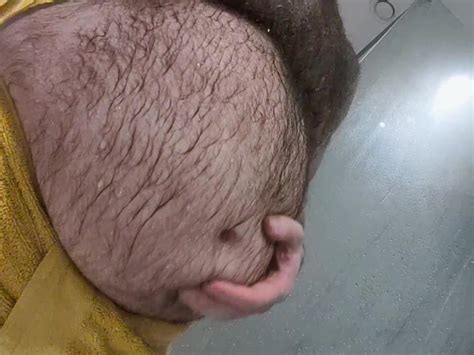 Freshly Showered Bear