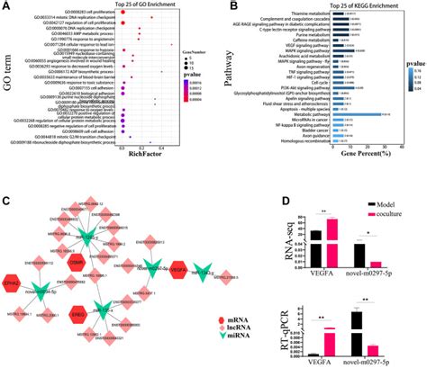 Whole Transcriptome Profiling Reveals Potential Biomarkers For The Reversal Of Thymic Epithelial