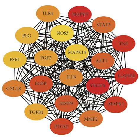 Diagram Of Drug Active Component Target Disease Network Between Hxtlf Download Scientific