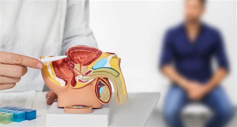 Intermediate Prostate Cancer Diagnosis And Treatment Options