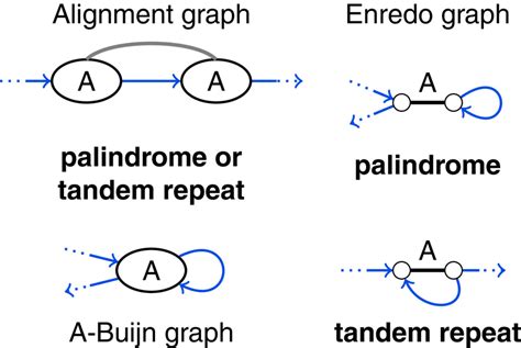 Palindromes And Tandem Repeats Are Not Distinguishable In The Structure