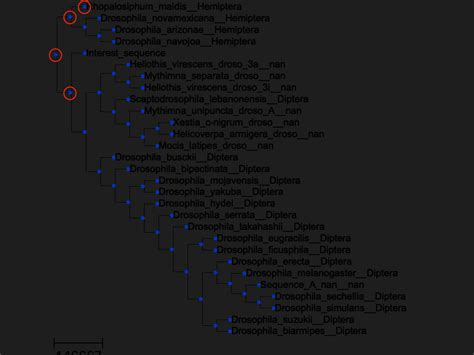 Phylogeny Python Ete Target Most Closely Related Leaf To A Specific Species In A