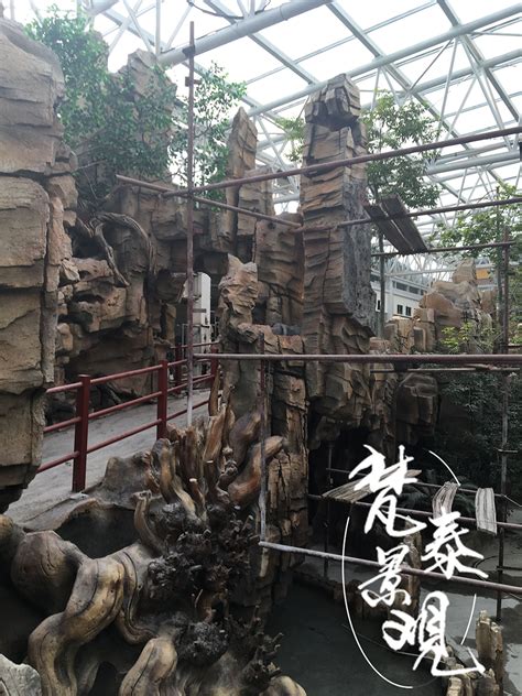 塑石假山水泥假山的验收标准 知乎