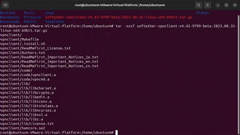 Vpn Softether Guia Completo De Configuração Windows E Linux