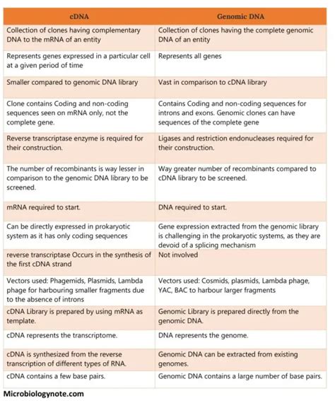 Difference Between Cdna And Genomic Dna Cdna Vs Genomic Dna Biology