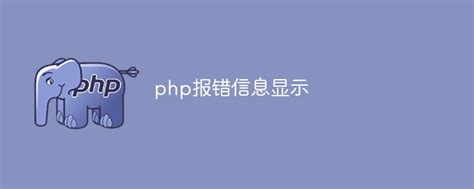 Display Of Detailed Php Error Information From Multiple Angles Php