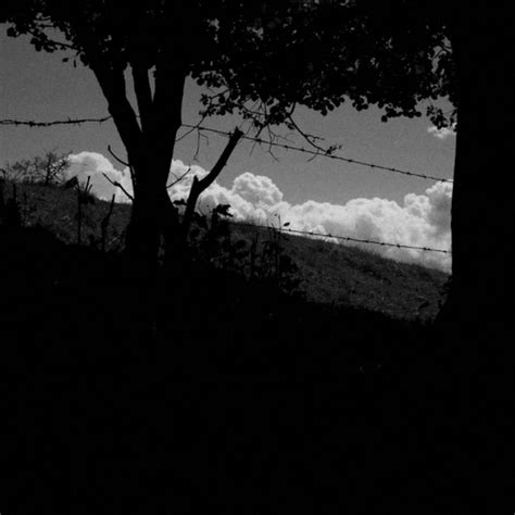 Luca Alberti Youtube