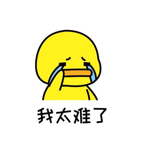夏萌猫