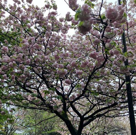 アーツカウンシル東京 ①出会い かむろ坂の行政書士 一期一会