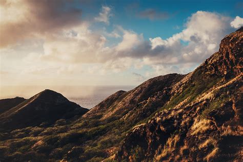 simple and steepest ascent hill climbing