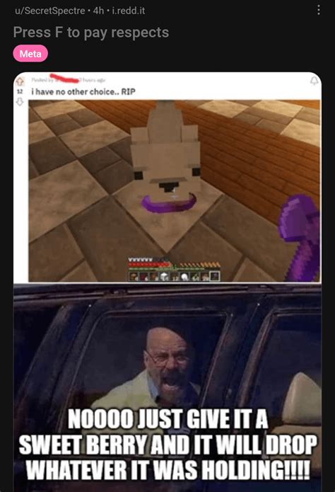 R Minecraftmemes Becoming A Real Gold Mine R Terriblefandommemes