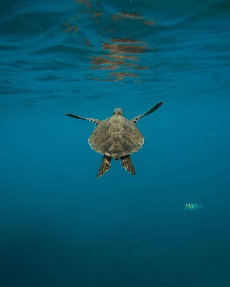 When Inner Light Meets Outer Darkness By Pranava Mindful Feb 2025 Medium