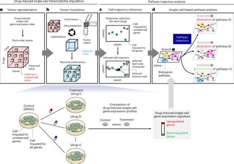 Kyushu Institute Of Technology On Linkedin Pathway Trajectory Analysis