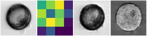 Original A Encoded Space B Reconstruction C And The Difference