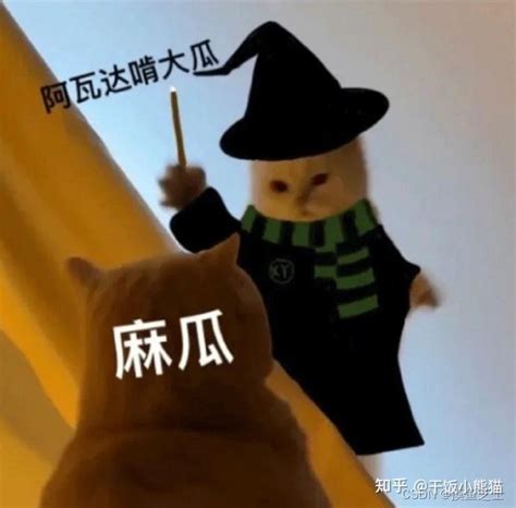 Python Tkinter 两种个性化简易计算器附源码 知乎