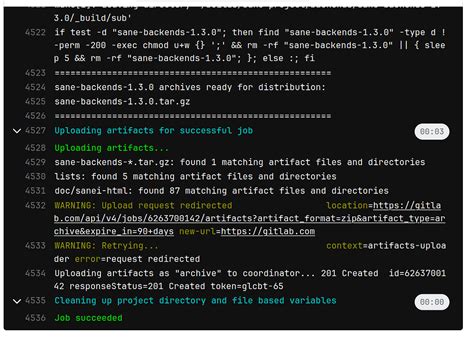 Getting A Redirect When Deploying Release Artifacts GitLab CI CD