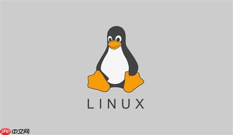 如何查看linux网络接口详细信息 Ip Link命令全面解析 Linux运维 Php中文网
