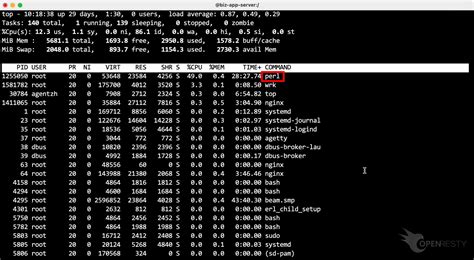 Performance Overhead Of Openresty Xray When Tracing Perl Apps