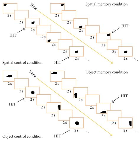 The Neural Correlates Of Spatial And Object Working Memory In Elderly And Parkinsons Disease