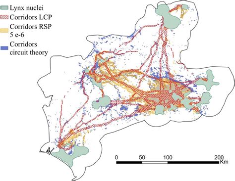 Corridors Delineated From Lcp Least Cost Path Rsp Randomized Download Scientific Diagram