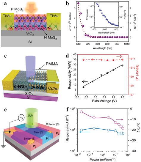 Photodetectors Based On 2d Homojunctions A Schematic Diagram Of Download Scientific Diagram
