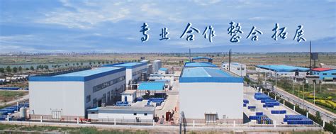 胜利油田胜利化工有限责任公司
