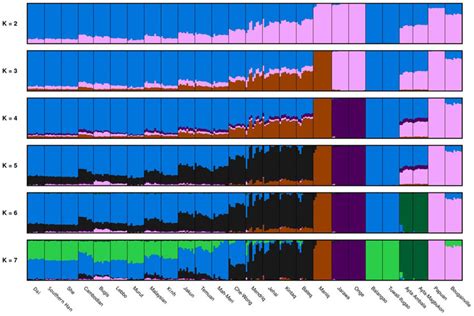 admixture analysis for asian populations admixture plots for k ¼ 2 7