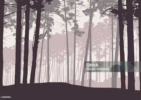 레트로 색상 텍스트다중 레이어를 위한 공간을 가진 회색 하늘 아래 소나무 겨울 침 엽 수 숲의 벡터 일러스트 레이 션 0명에 대한 스톡 벡터 아트 및 기타 이미지 Istock