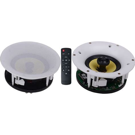 China Active Ceiling Speaker System Manufacturers Suppliers Factory Direct Wholesale Pearller