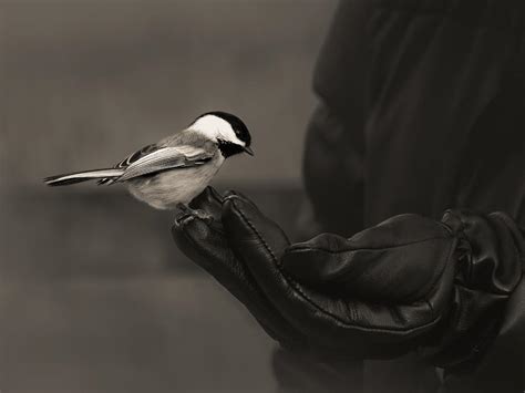 Human And Nature Photograph By Yuhan Chen Fine Art America