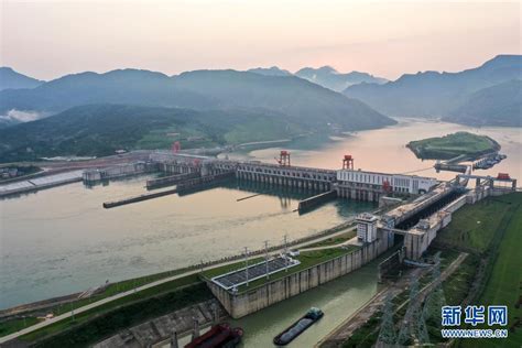 广西大藤峡水利枢纽科研团队助力保护珠江流域水生生物多样性 新华网