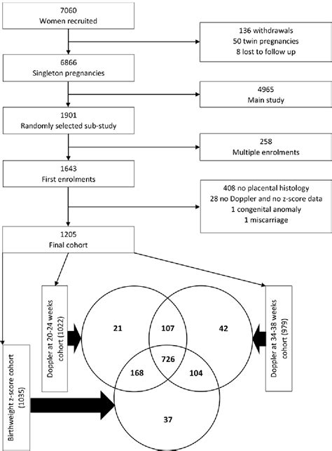 Figure From Association Of Placental Histology With The Pulsatility Index Of Fetal And