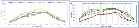 Comparing Diurnal Variation Of Ipar From 8 Am To 5 Pm At Different