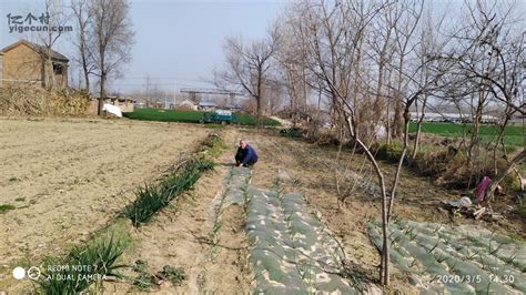 唐楼社区图片 江苏省徐州市沛县张寨镇唐楼社区