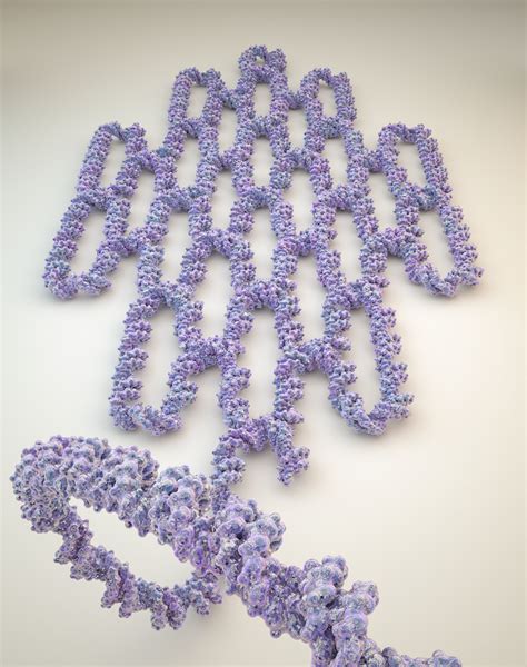 Single Stranded Dna And Rna Origami Go Live
