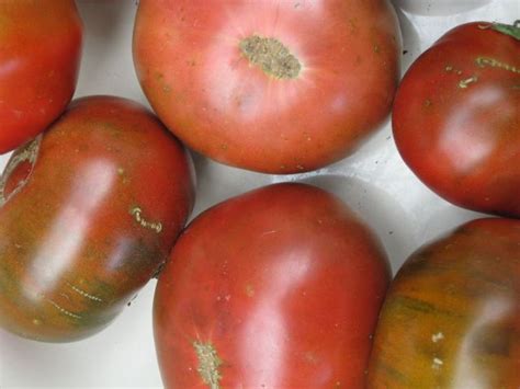 Tomato Porn Giantveggiegardener