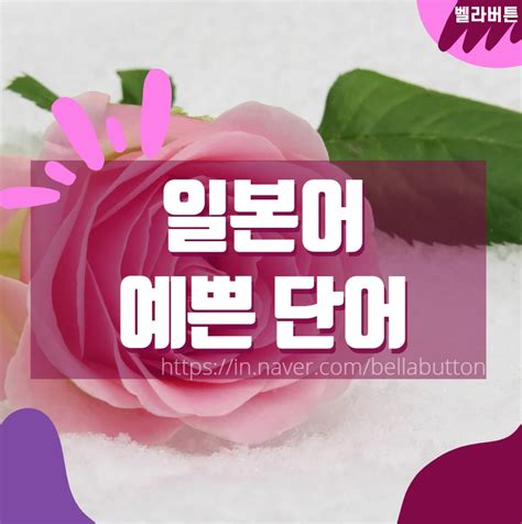 예쁜 일본어 단어 귀여운 일본어 단어 15개 네이버 블로그