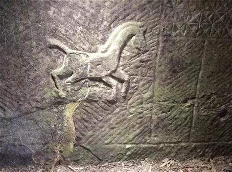 建南崖墓群驚現漢代岩畫兩大謎團待解 每日頭條