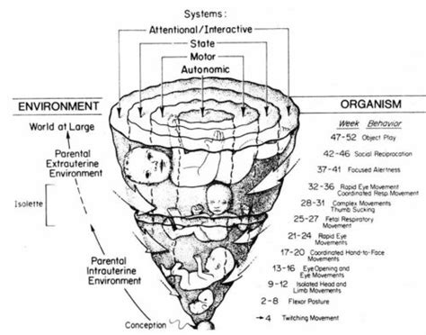 Synactive Model Of Developmental Care Nidcap