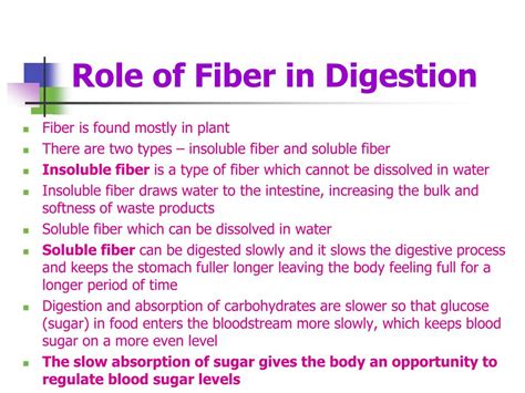 Role Of Fiber In Digestion At Saundra Edwards Blog