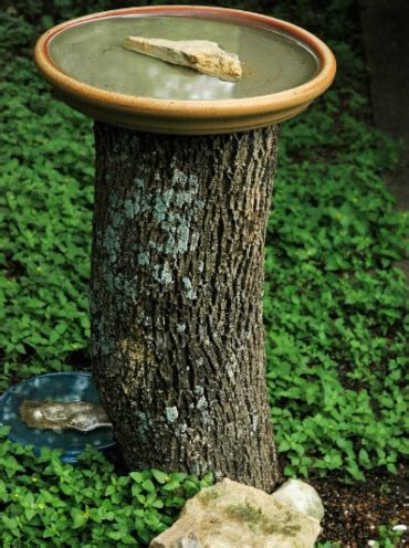 Best Bird Bath Ideas In Australia For AGT
